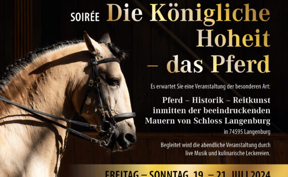 Carolin Rudat – Rudat Stables